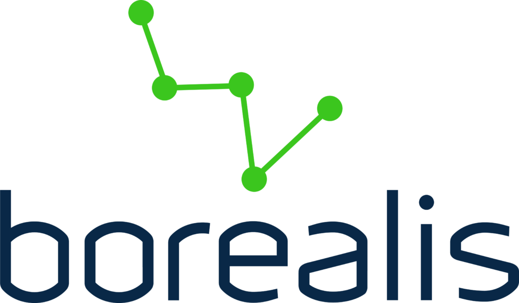 Sustainability Branding for Business Leaders | Borealis